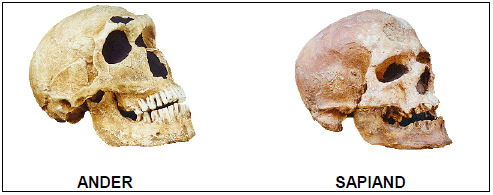 Datations – Chantiers de Sciences