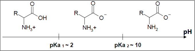 Acide/base (5) – Domaines – Chantiers de Sciences