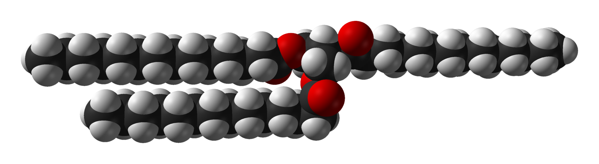Trimyristine – Chantiers de Sciences