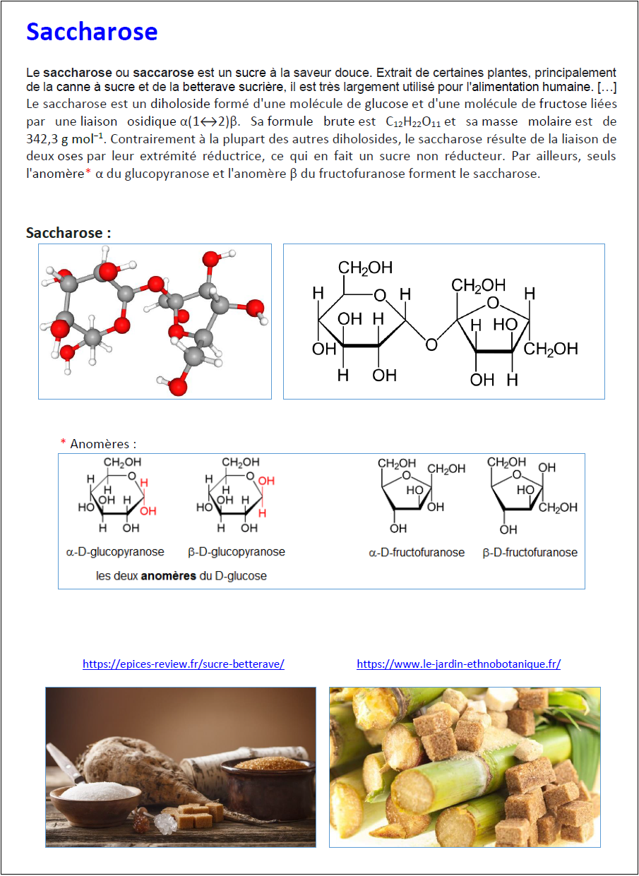 Saccharose – Chantiers de Sciences