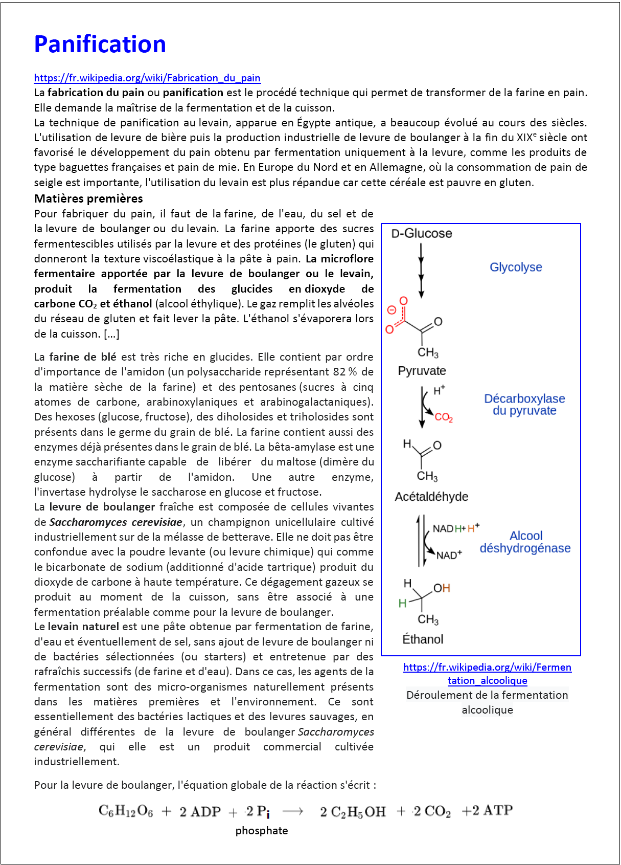 Panification – Chantiers de Sciences