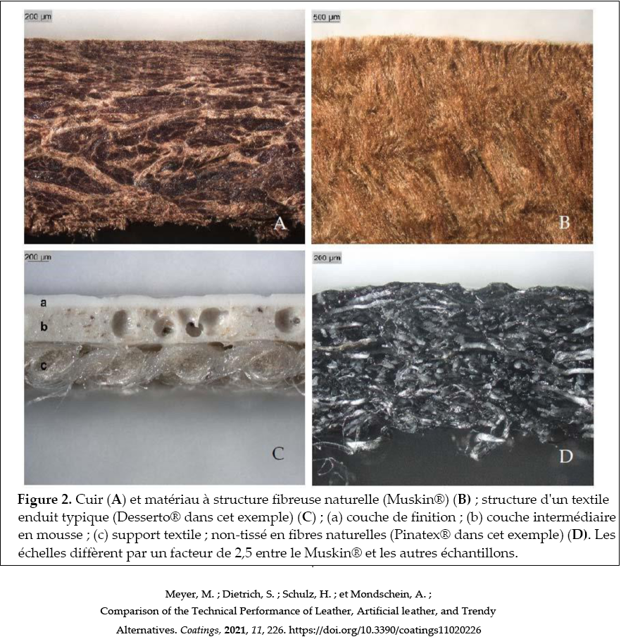 Similicuirs – Chantiers de Sciences